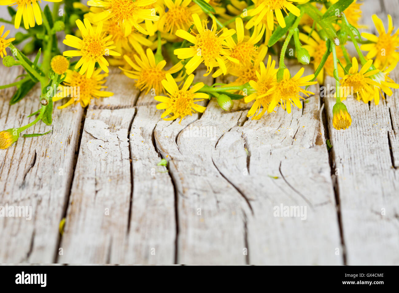 Rustic branch leaves flowers hi-res stock photography and images - Alamy