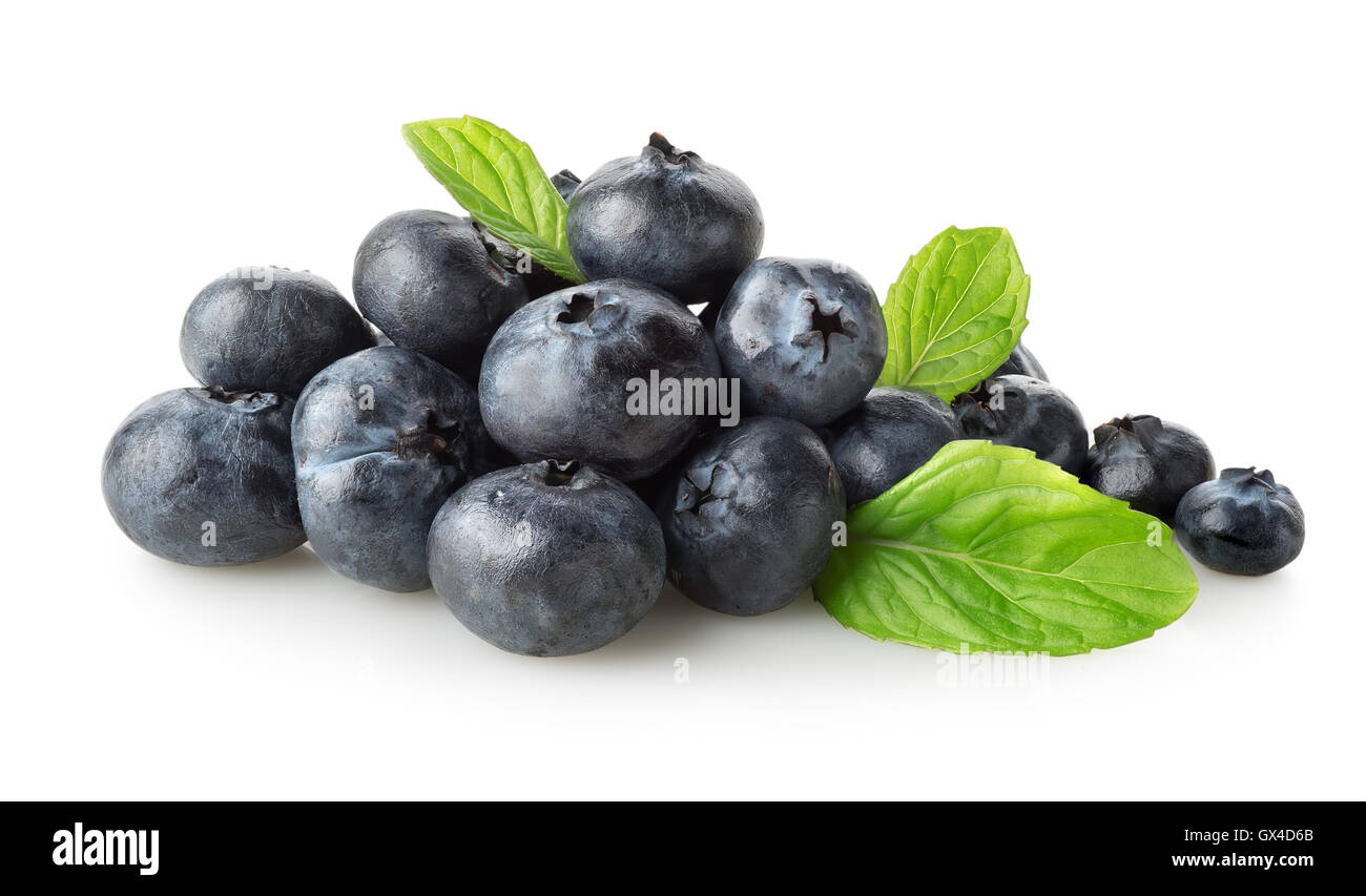 Fresh juicy blueberry leaves hi-res stock photography and images - Alamy
