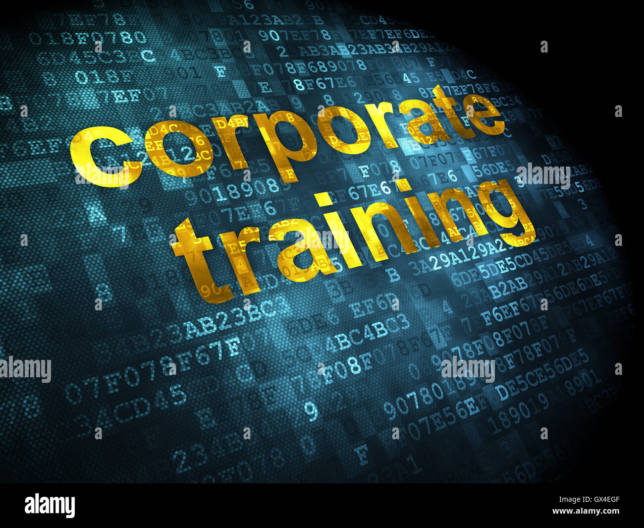 Education concept: Corporate Training on digital background Stock Photo ...