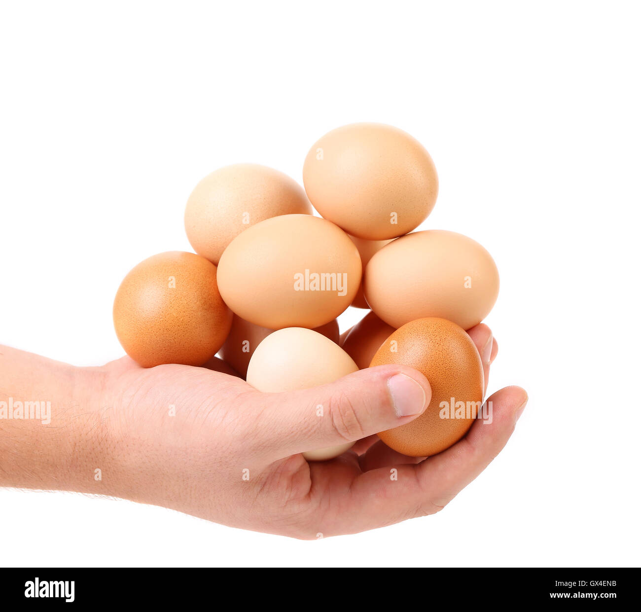 hands holding eggs isolated Stock Photo - Alamy