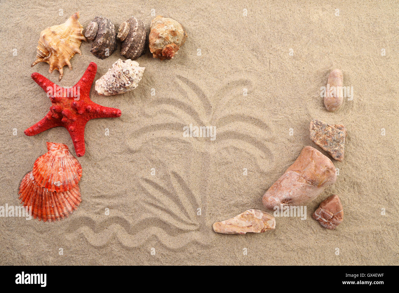 Composition of sand, shells, stones and starfish Stock Photo - Alamy