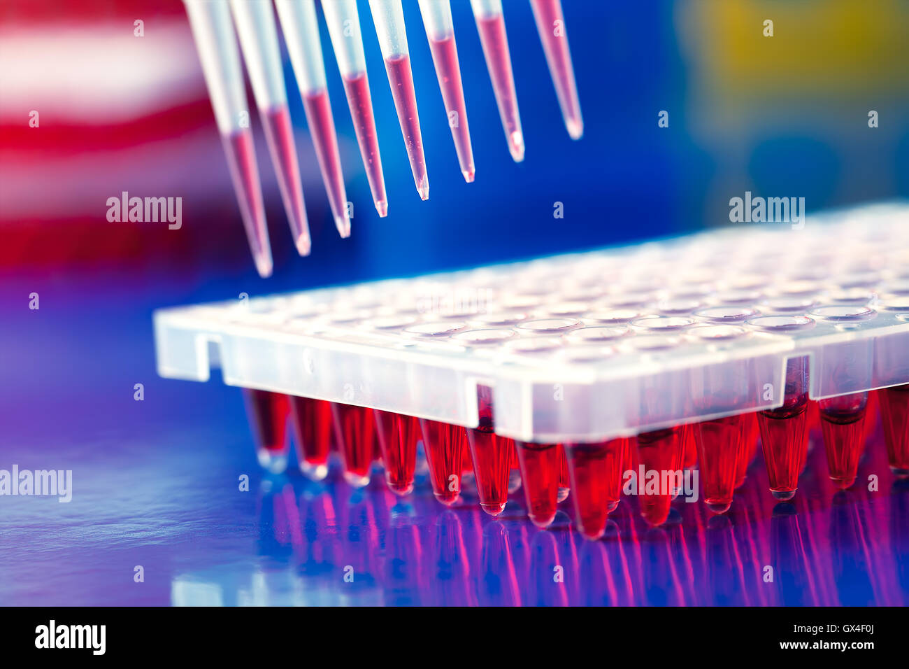 96 well plate multichannel pipette hi-res stock photography and images ...