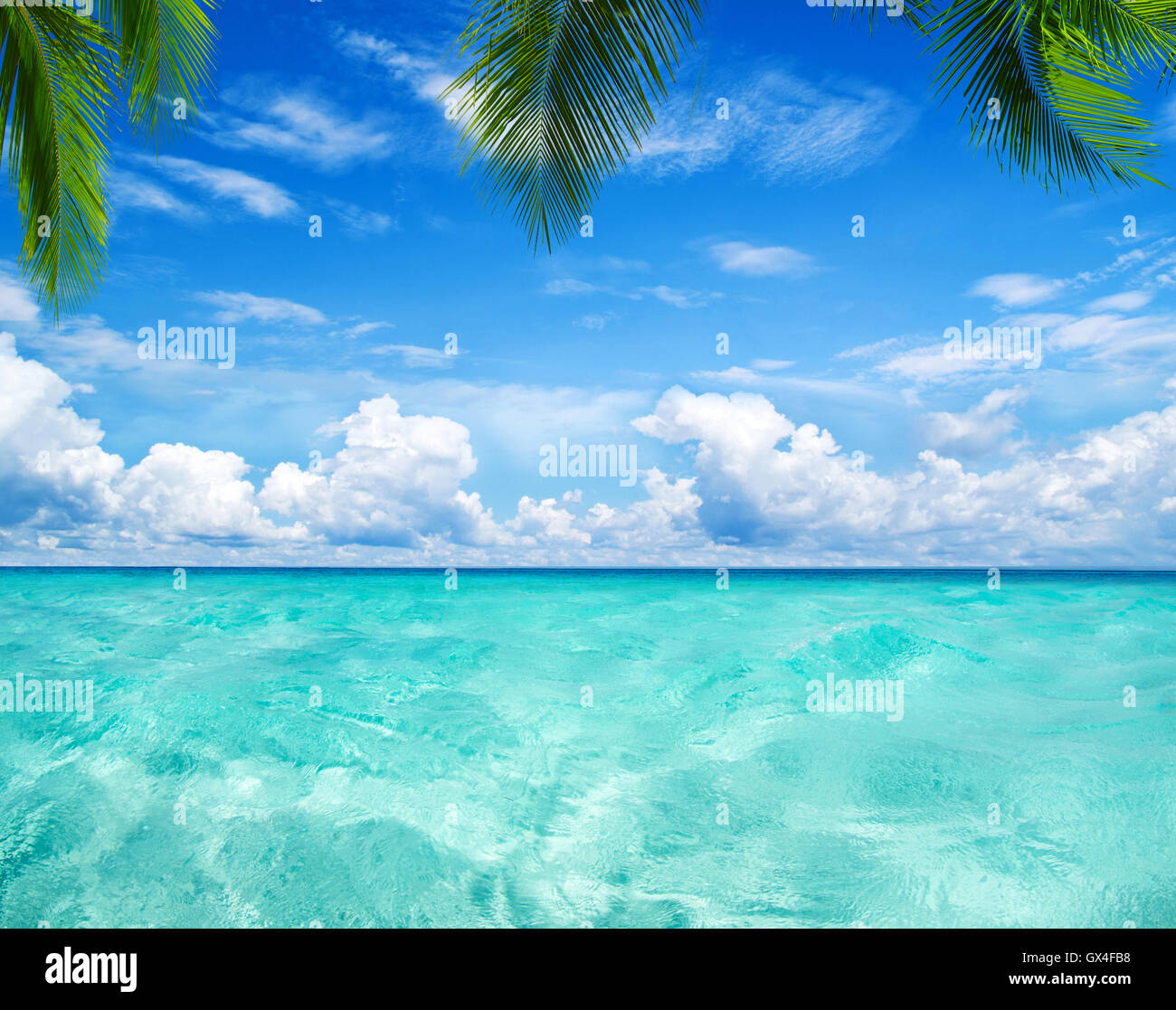 Caribbean sea wave hi-res stock photography and images - Alamy