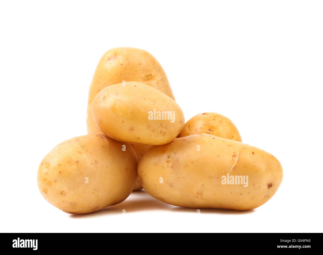 Closeup shot potato harvest hi-res stock photography and images - Alamy
