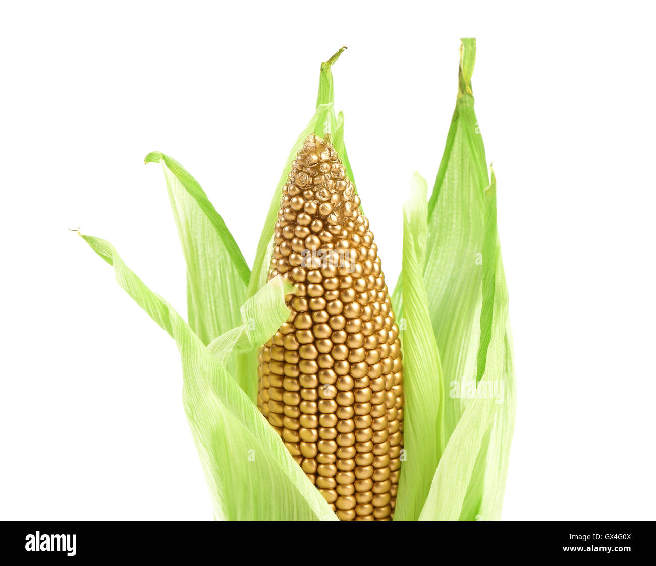 Single ear corn leaves hi-res stock photography and images - Alamy