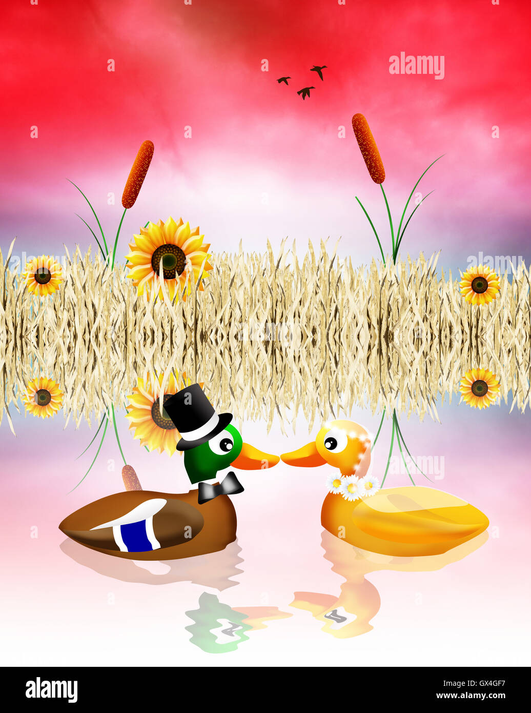 ducks in love Stock Photo - Alamy
