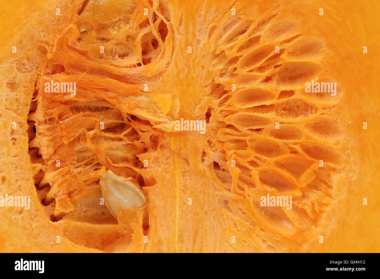 Background of pumpkin slice. Macro Stock Photo - Alamy