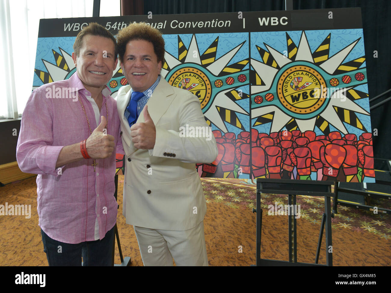 World Boxing Council press conference announcing important details ...