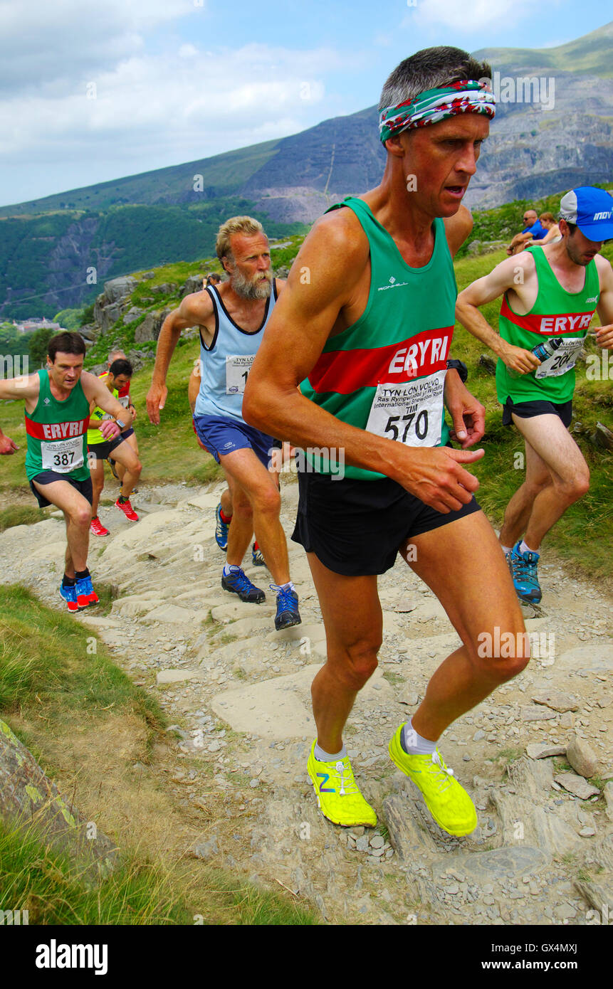 Runners in Snowdon International Mountain Race Stock Photo - Alamy