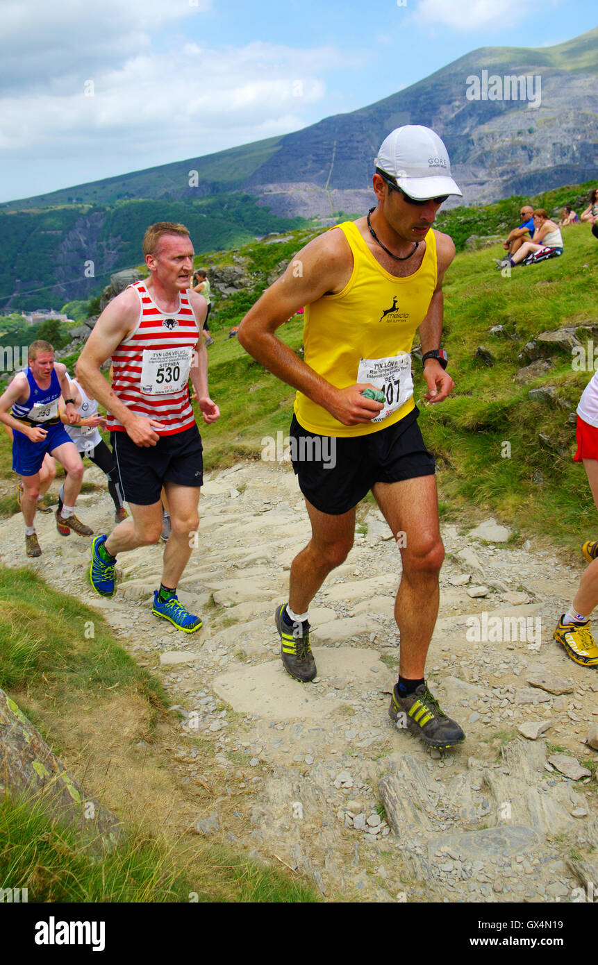 Runners in Snowdon International Mountain Race Stock Photo - Alamy