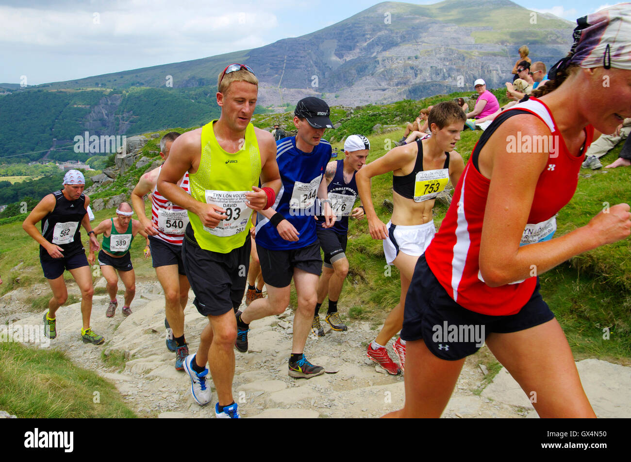 Runners in Snowdon International Mountain Race Stock Photo - Alamy