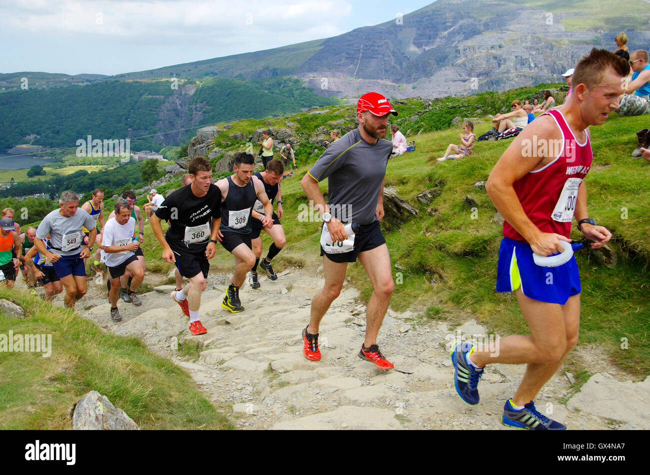 Runners in Snowdon International Mountain Race Stock Photo - Alamy