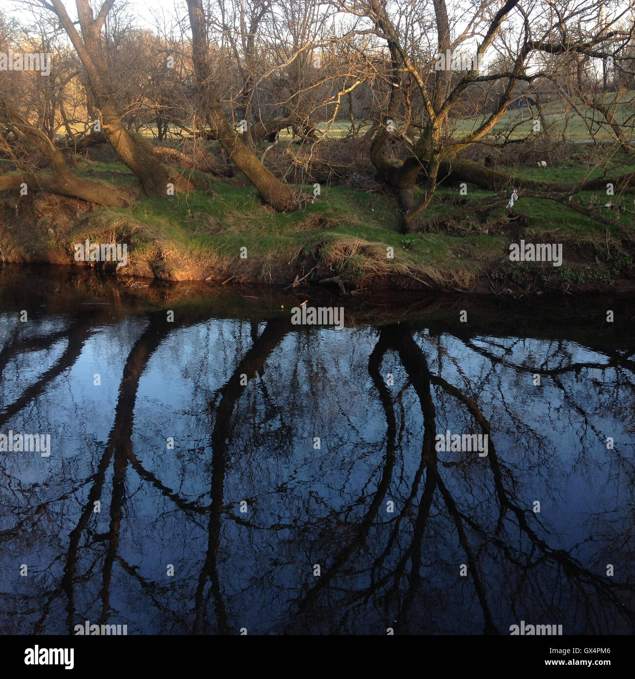 Pollok Park, in Glasgow, Scotland Stock Photo - Alamy