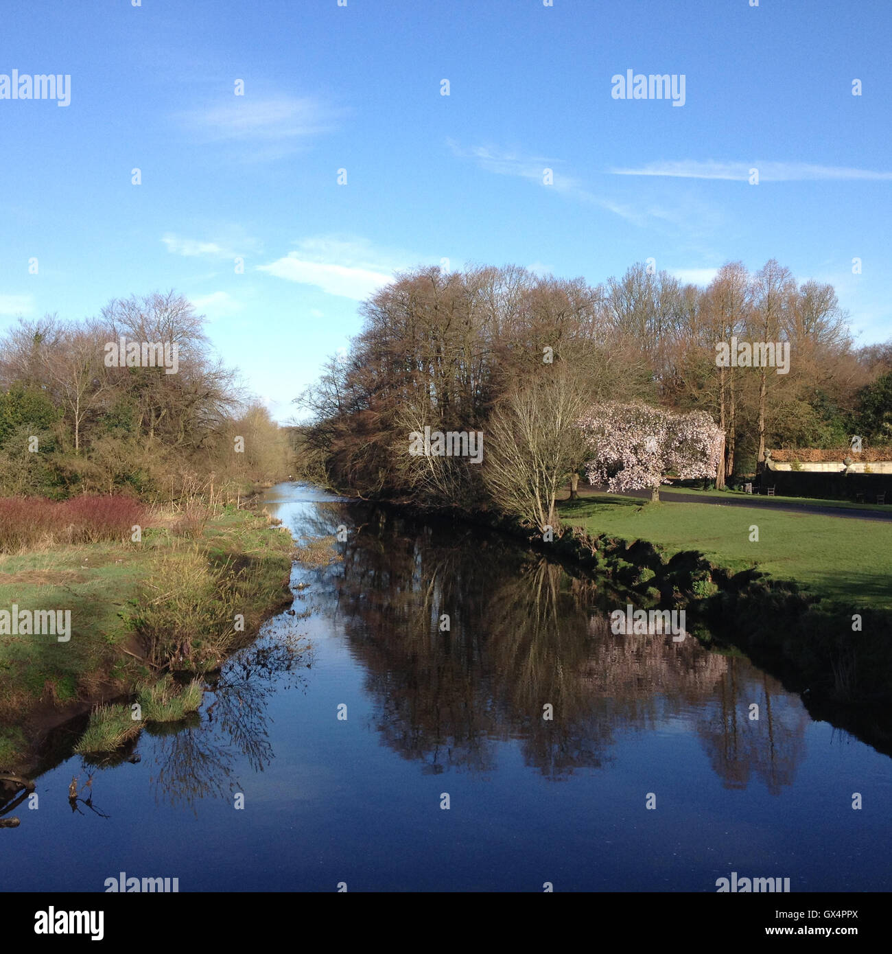 Pollok Park, in Glasgow, Scotland Stock Photo - Alamy