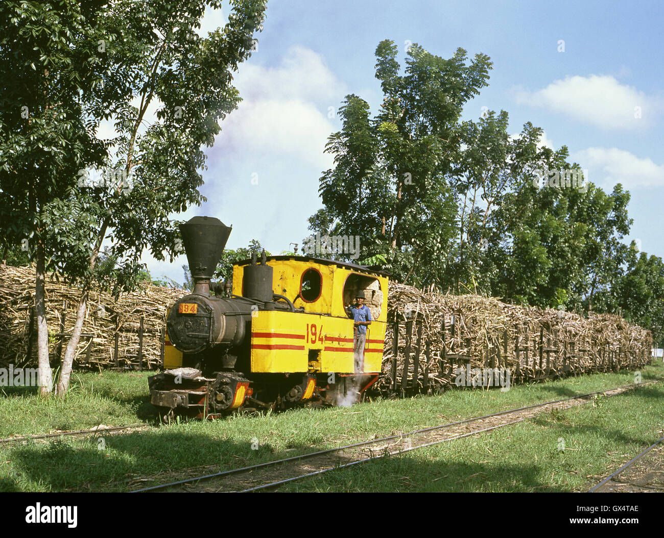 Steam locomotive sugar cane train hi-res stock photography and images ...