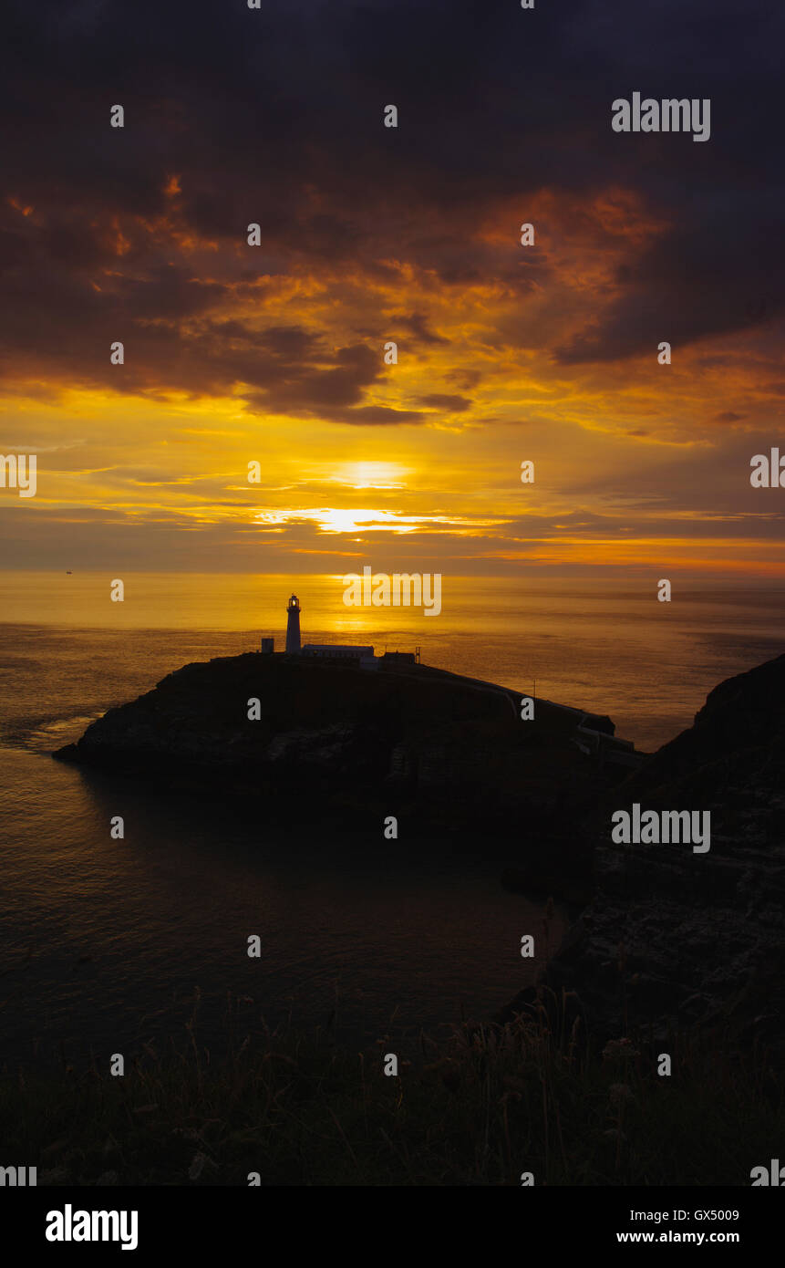 South Stack Lighthouse at Sunset, Isle of Anglesey Stock Photo - Alamy