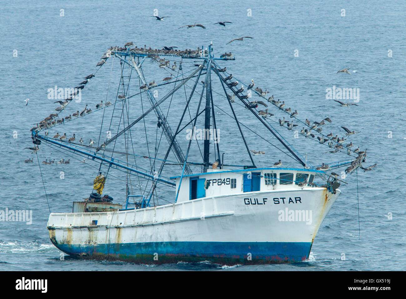 Fishing vessels trinidad tobago hi-res stock photography and images - Alamy