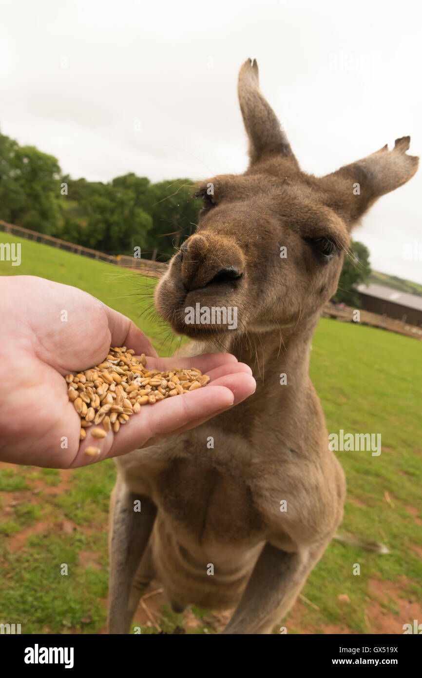 Zoo Hunger Mpg