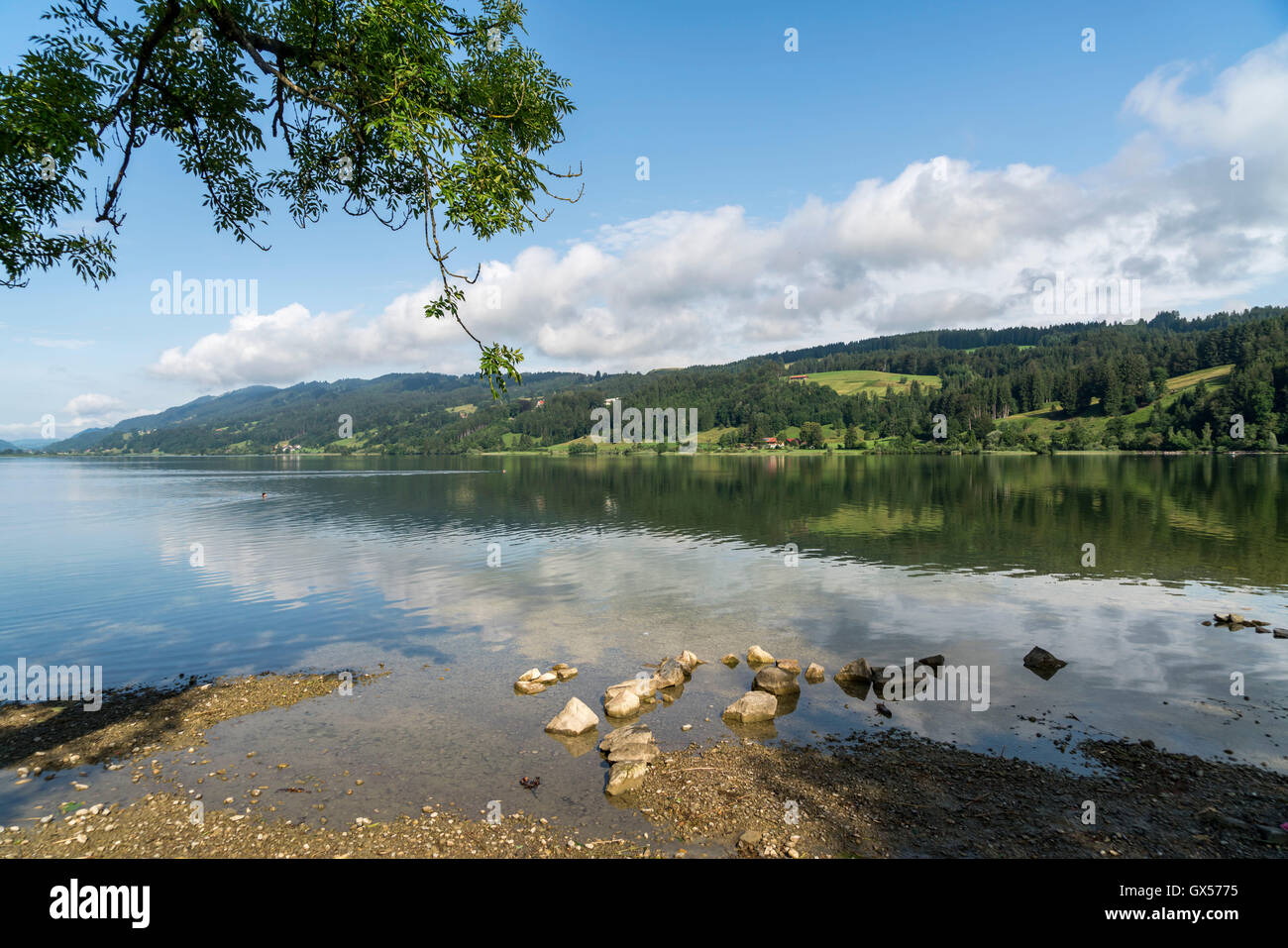 Grosser Alpsee High Resolution Stock Photography and Images - Alamy