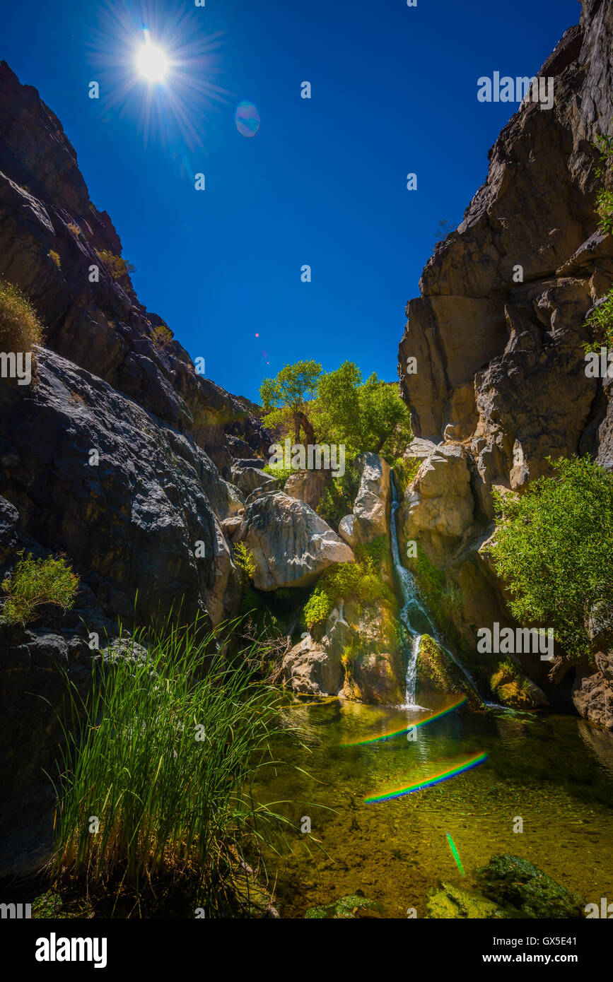 Darwin Falls, Waterfall in Death Valley National Park California USA ...