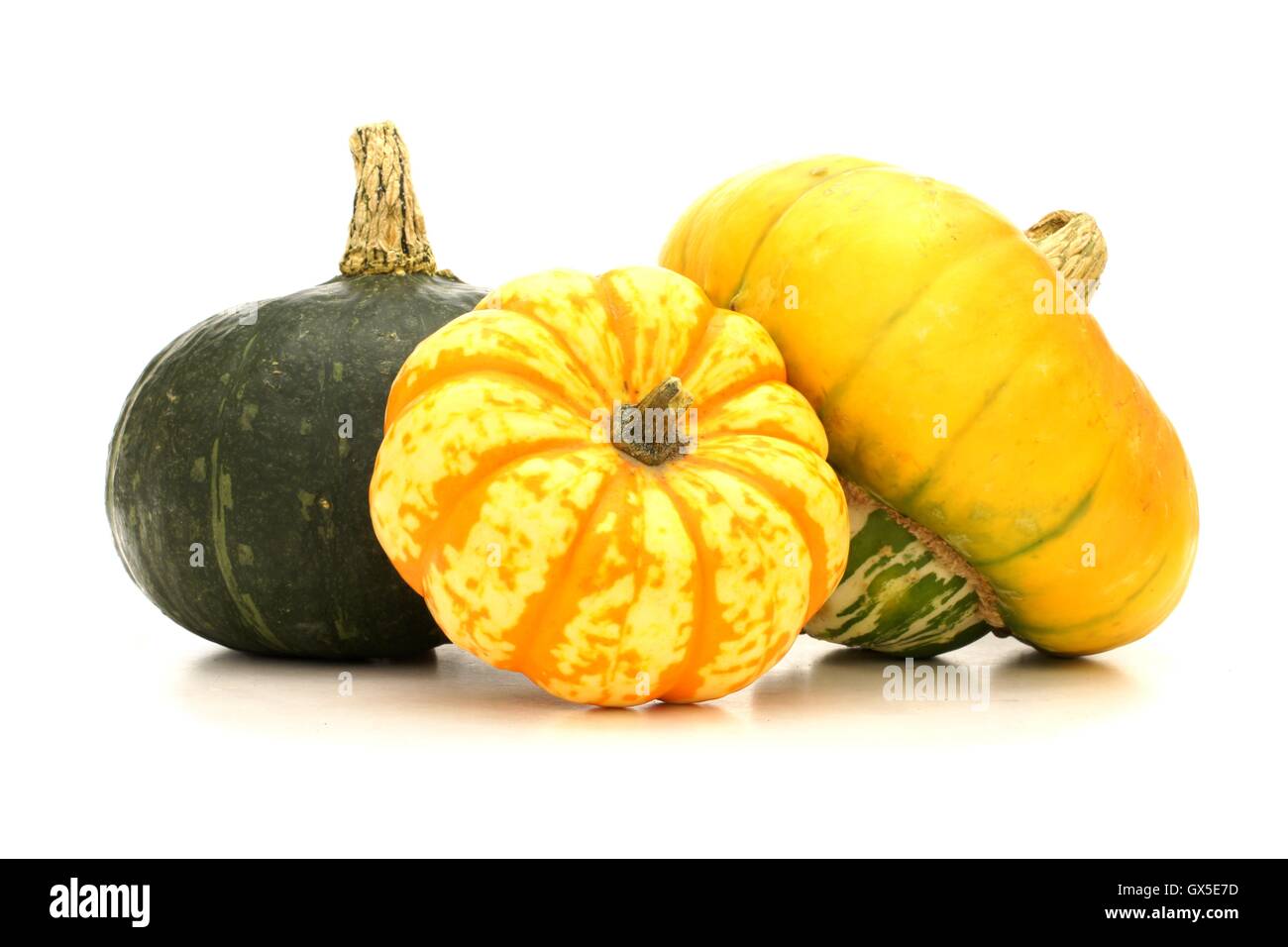 Group of varied autumn squash over a white background Stock Photo - Alamy