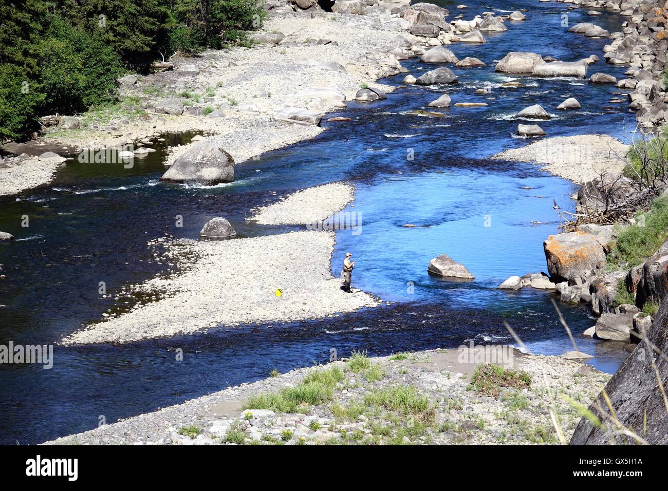 Man fly fishing from a gravel bar in a creek, Yellowstone National Park ...