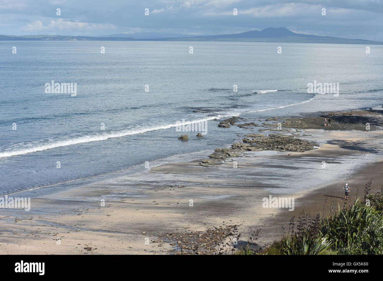 Beach, sea and Rangitoto Island, Auckland Stock Photo - Alamy