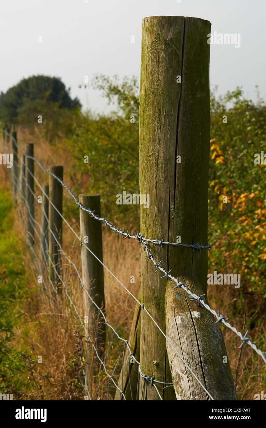 Wire farm fencing hi-res stock photography and images - Alamy