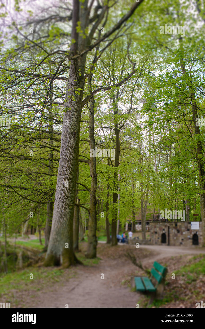 Park pathway and bench in early spring time Stock Photo - Alamy