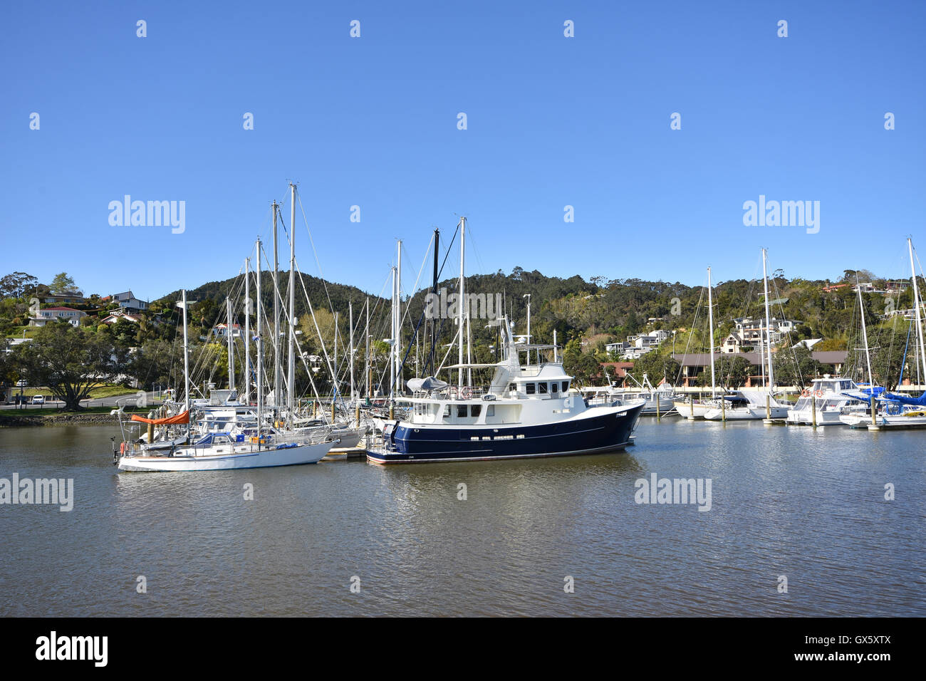 Whangarei Town Basin High Resolution Stock Photography and Images - Alamy