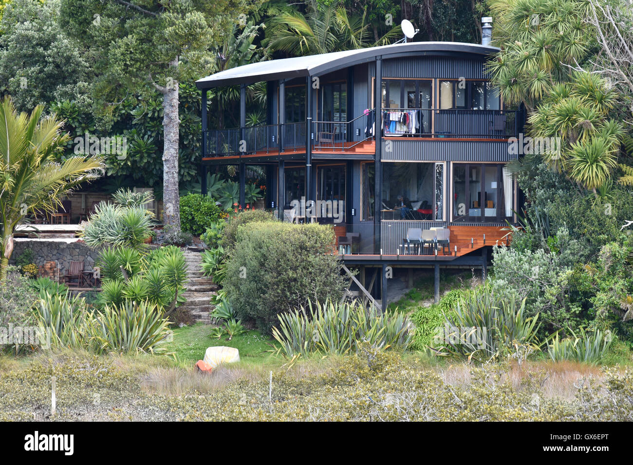 Modern house in native NZ bush Stock Photo - Alamy