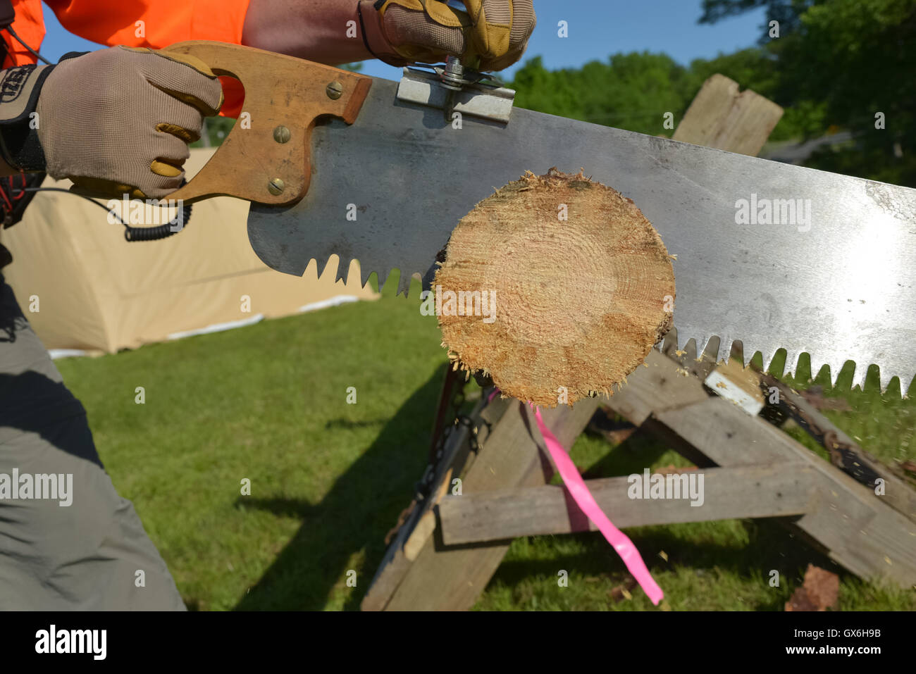Two Man Lumber Jack Saw Stock Photo - Alamy
