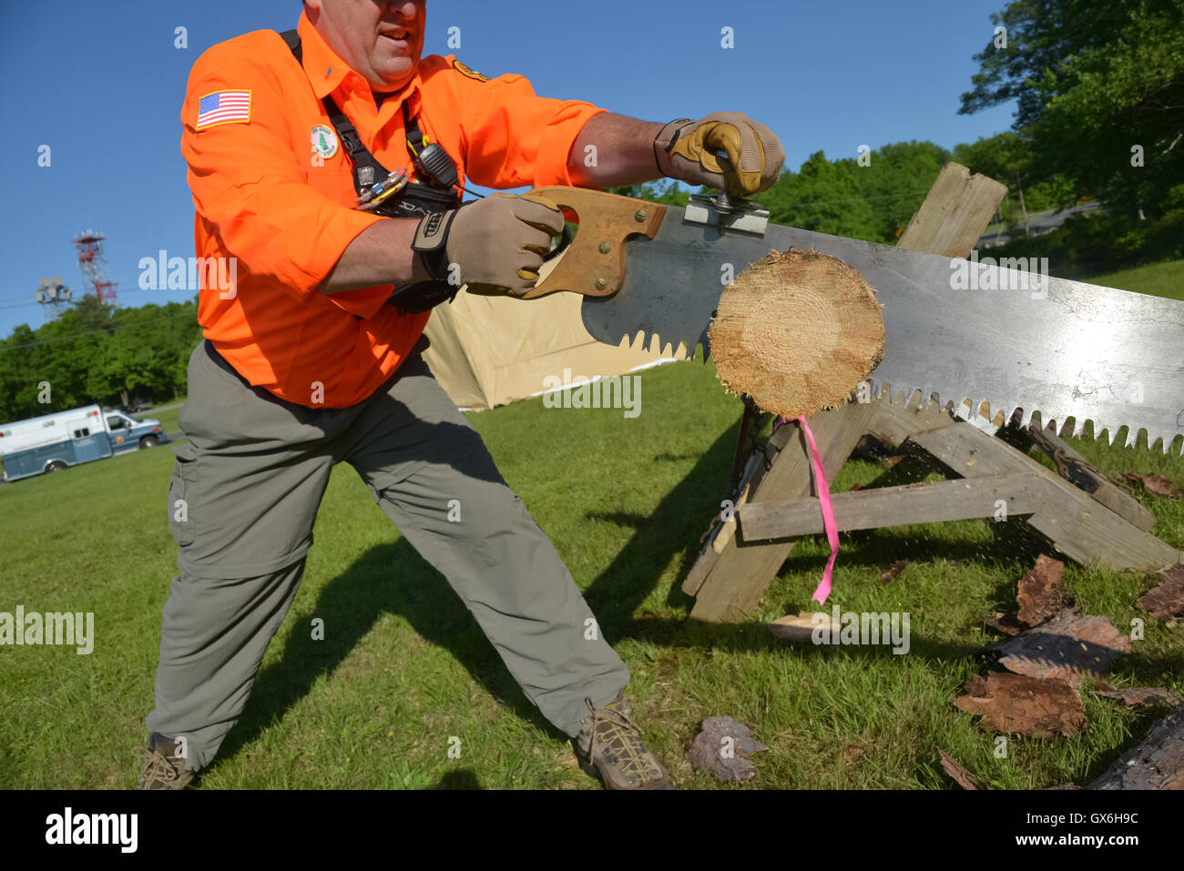 Two Man Lumber Jack Saw Stock Photo - Alamy