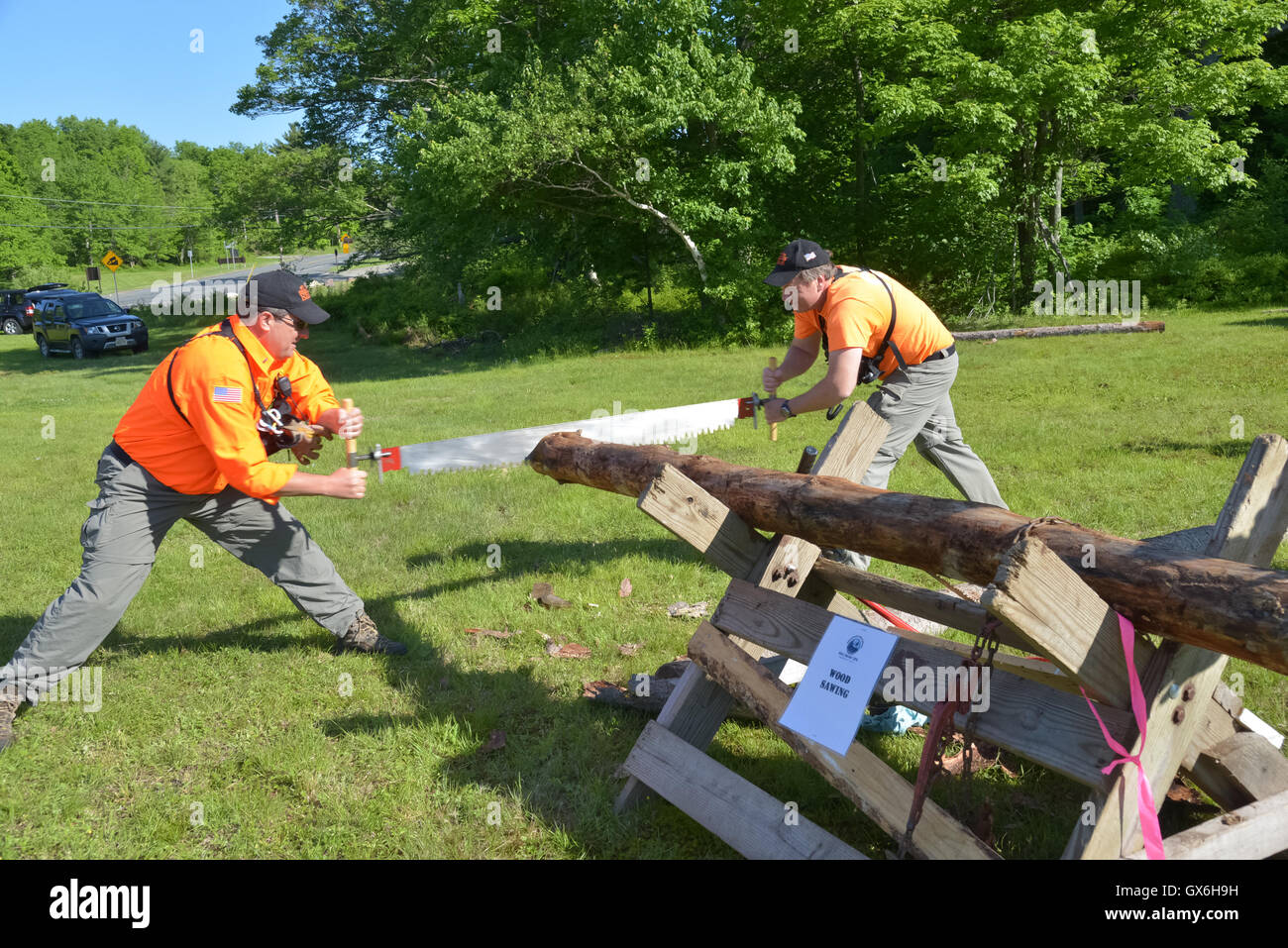 Two Man Lumber Jack Saw Stock Photo - Alamy