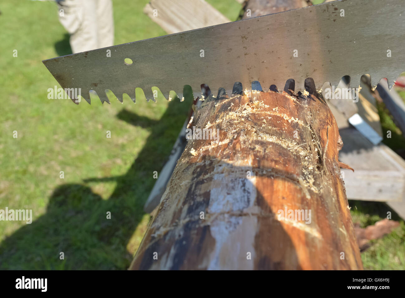 Two Man Lumber Jack Saw Stock Photo - Alamy