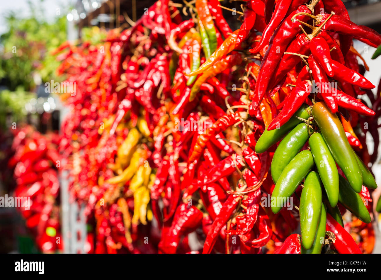 Bunches of chilli peppers hanging at the market Stock Photo - Alamy