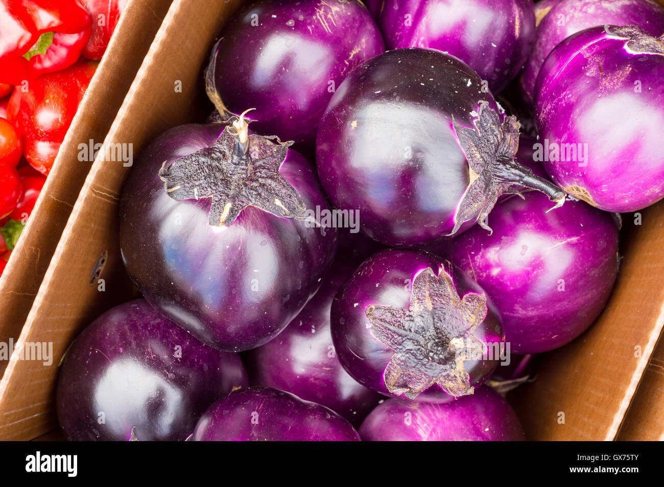 Large round purple eggplants at the market Stock Photo - Alamy