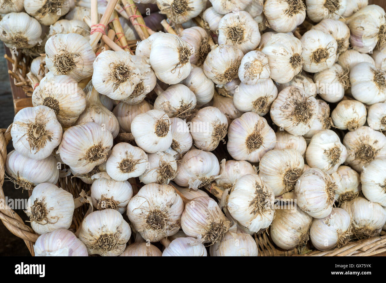 Many garlic cloves at the market Stock Photo - Alamy