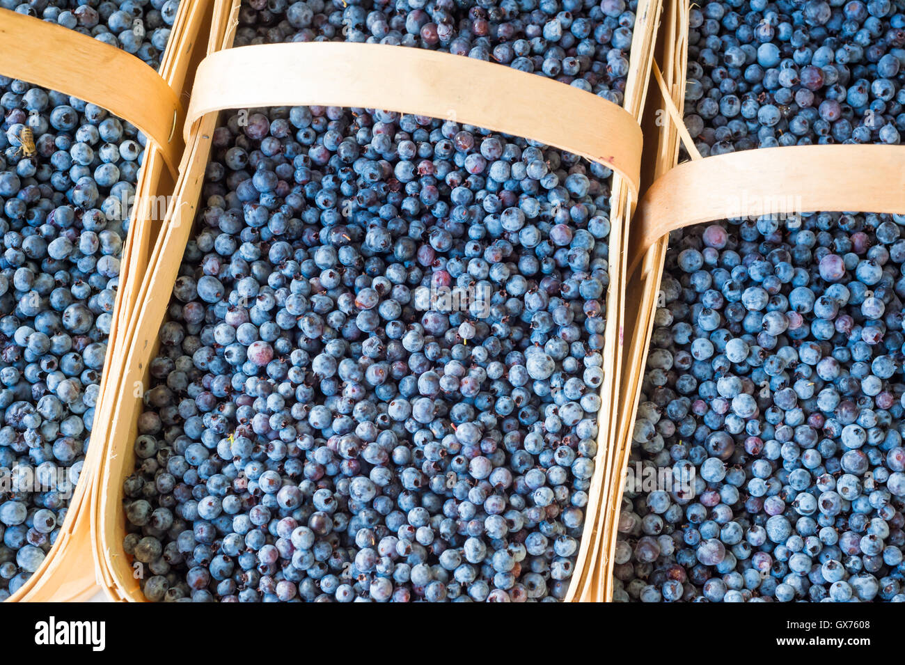 Many blueberries in baskets at the market Stock Photo - Alamy