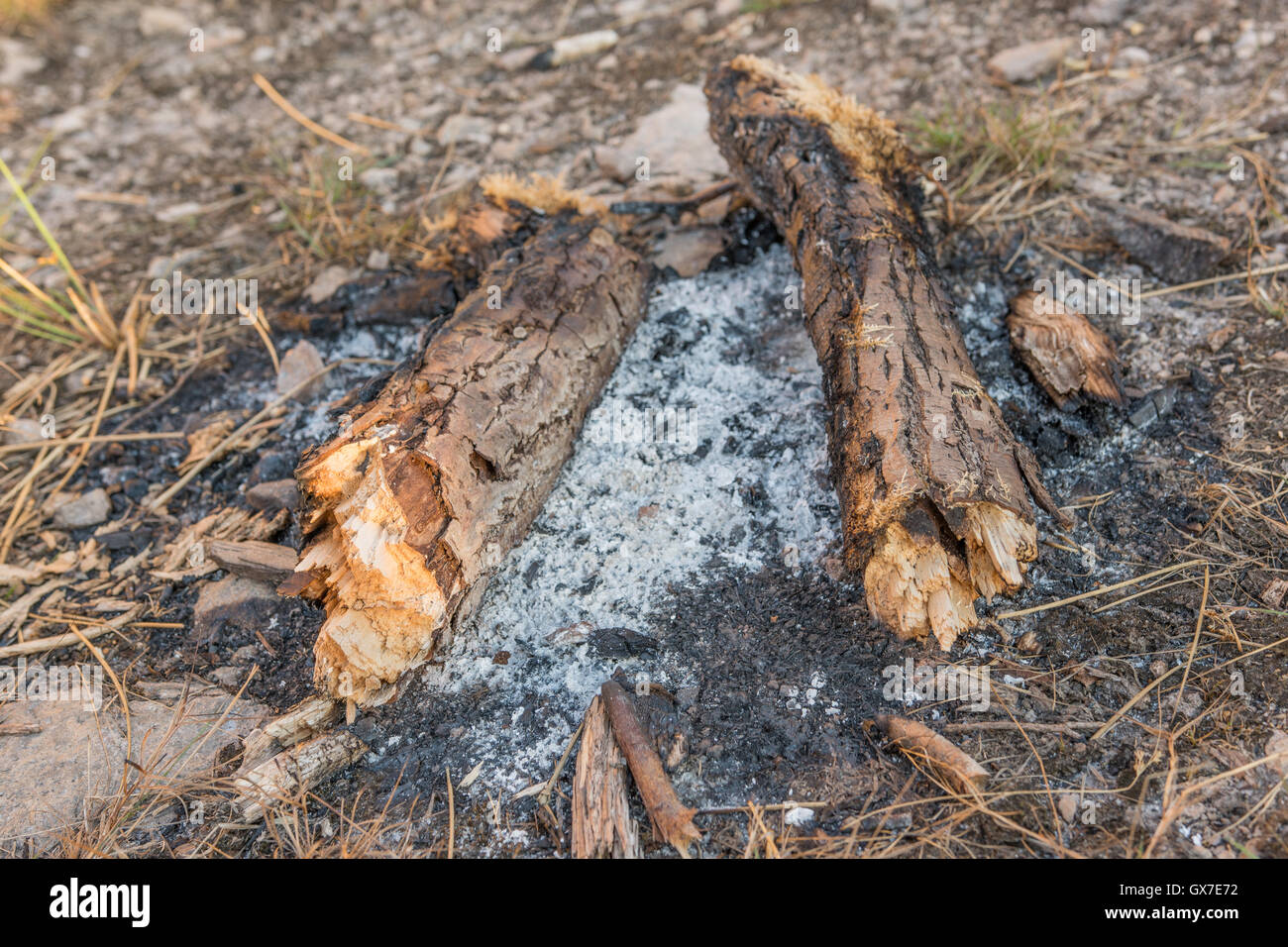 Ash around burned down campfire in nature Stock Photo - Alamy