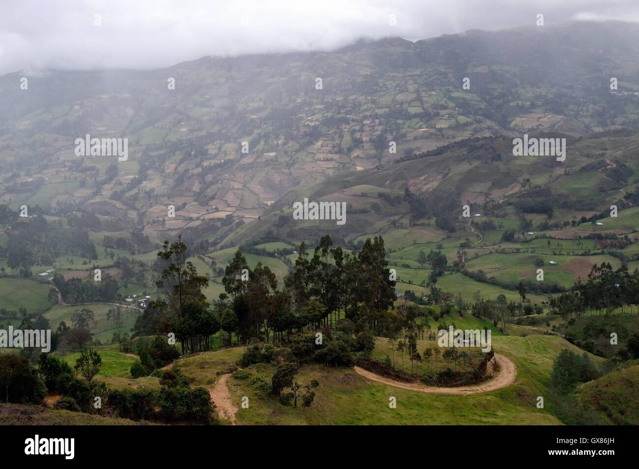 Landscape in SAPALACHE " Las Huaringas " - HUANCABAMBA.. Department of ...