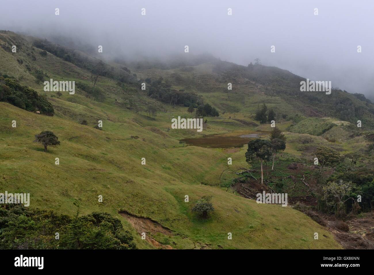 Landscape in SAPALACHE " Las Huaringas " - HUANCABAMBA.. Department of ...