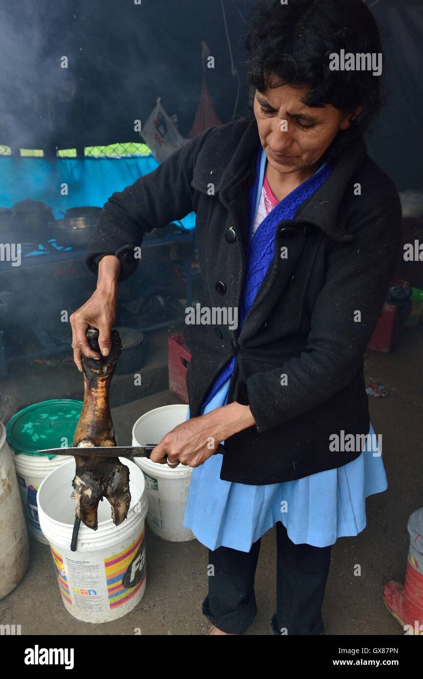 Cleaning cow hoof in SAPALACHE " Las Huaringas " - HUANCABAMBA ...