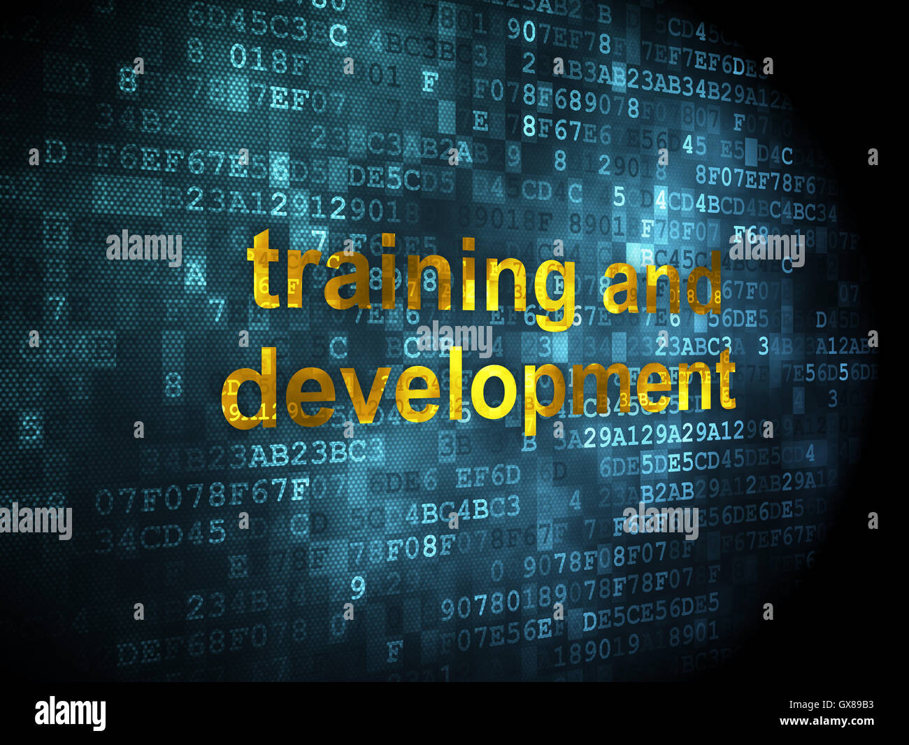 Education concept: Training and Development on digital backgroun Stock ...