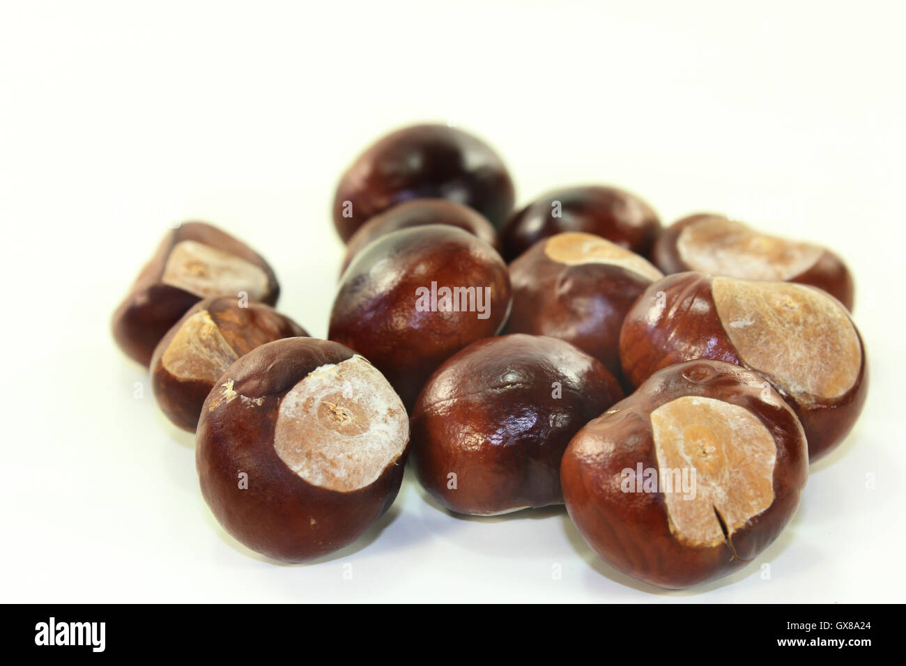 Buckeye nuts hi-res stock photography and images - Alamy