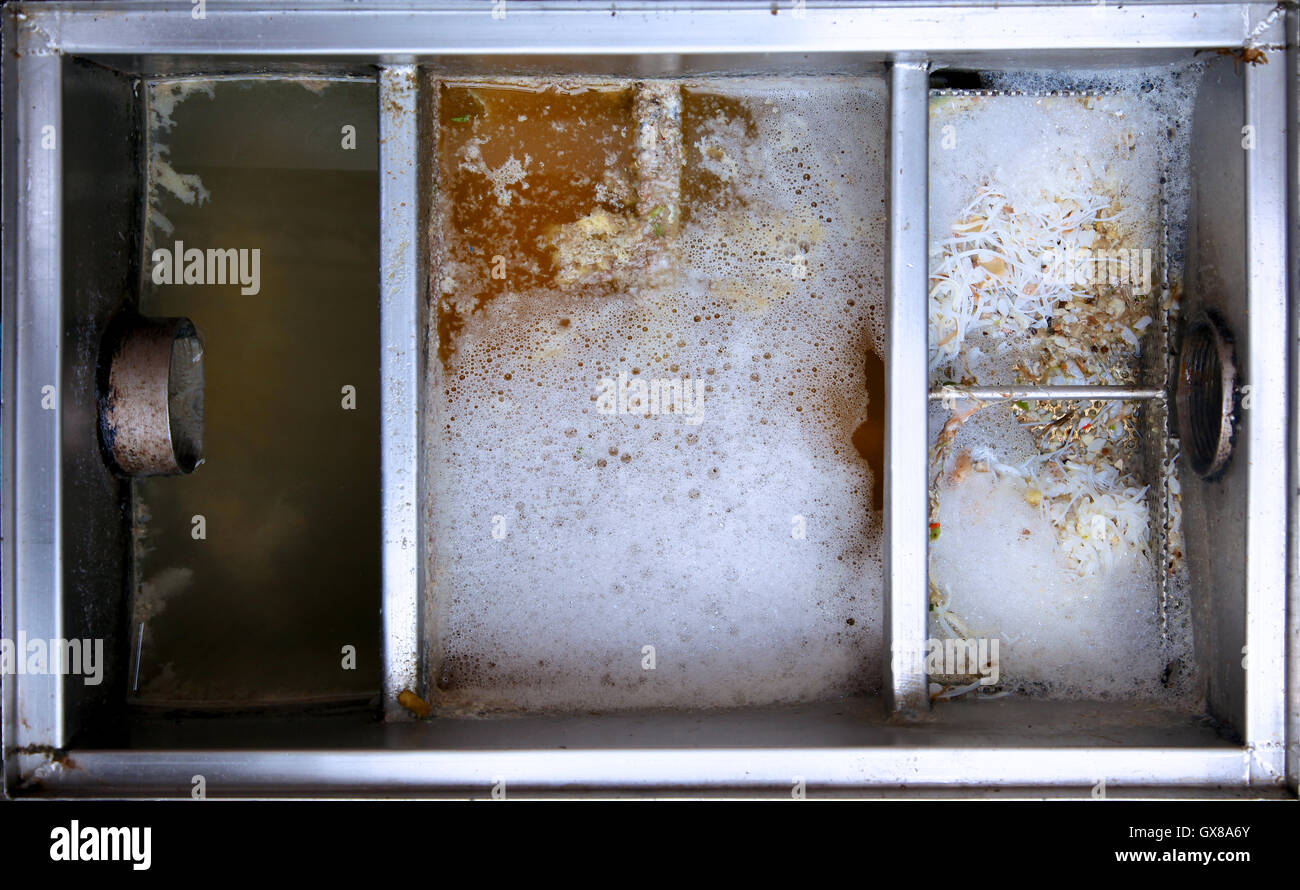 Food waste concepts hi-res stock photography and images - Alamy