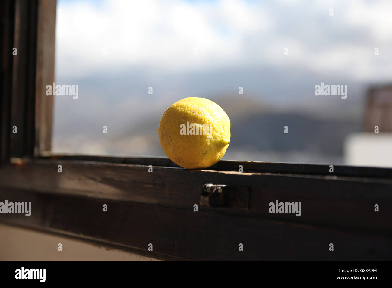lemon on the window Stock Photo - Alamy
