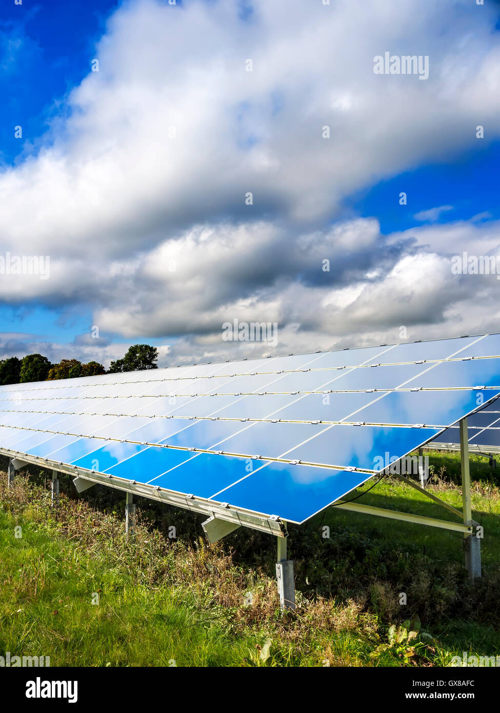 Solar Panel on green meadow Stock Photo - Alamy