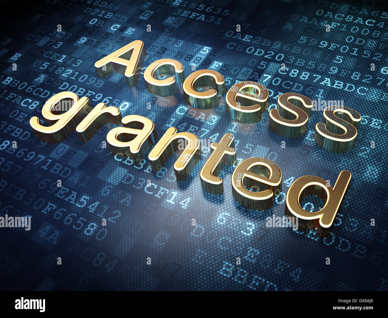 Security concept: Golden Access Granted on digital background Stock ...