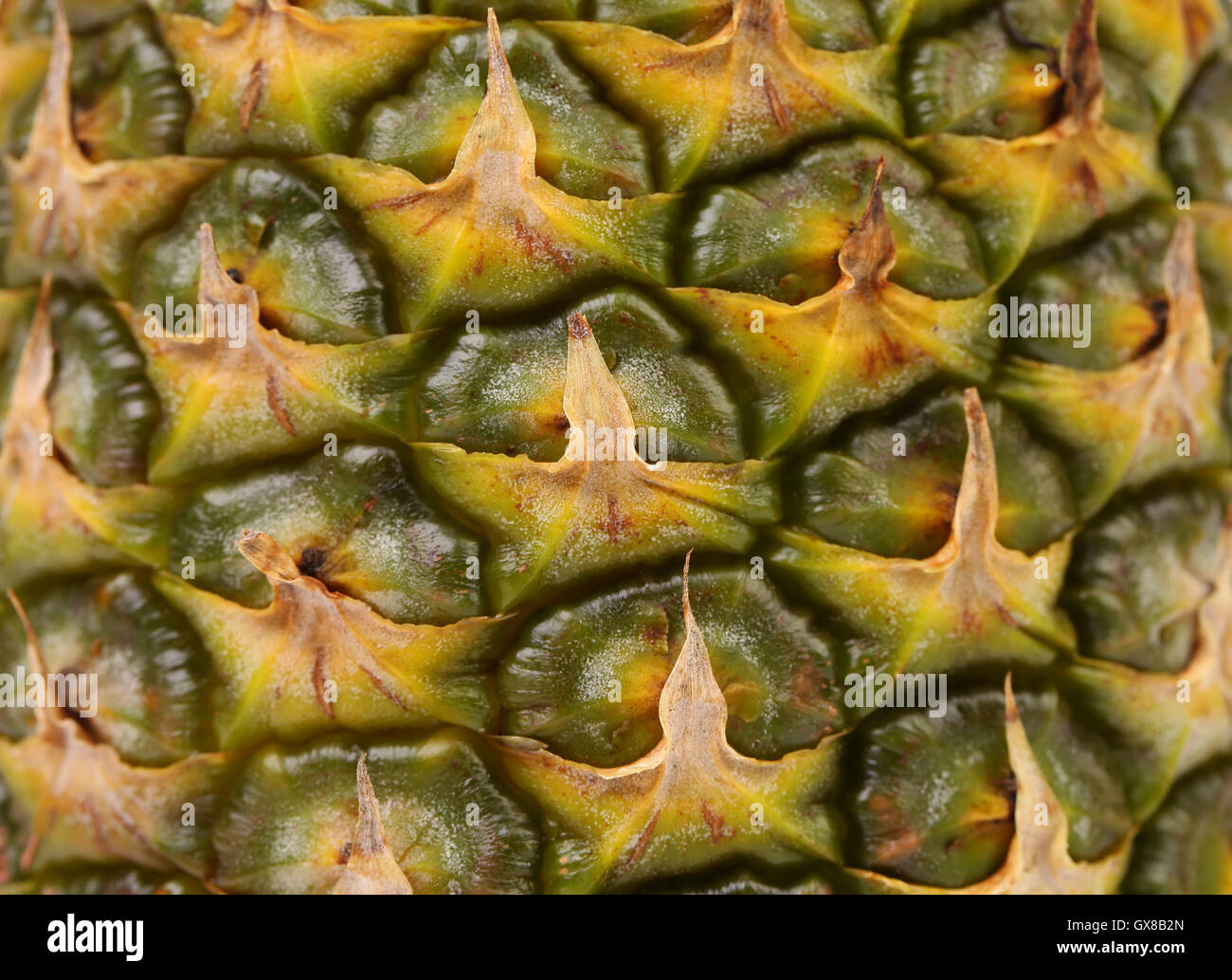 Background of pineapple fruit. Close up Stock Photo - Alamy